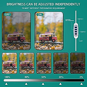 ZKEEZM Light Box Photography 16"x16" with 120 LED, and 6 Color Backdrops Photo Box with Lights Foldable Lightbox for Product Photography with Adjustable 3000-6500K Bi-Colour Brightness
