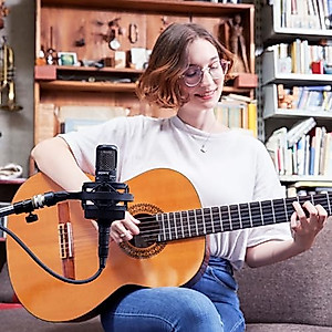 Sony Media C-80 Unidirectional Studio Condenser Microphone with Advanced Capsule Technology, Dual Diaphragm Configuration, and Acoustic Shifting Circuit