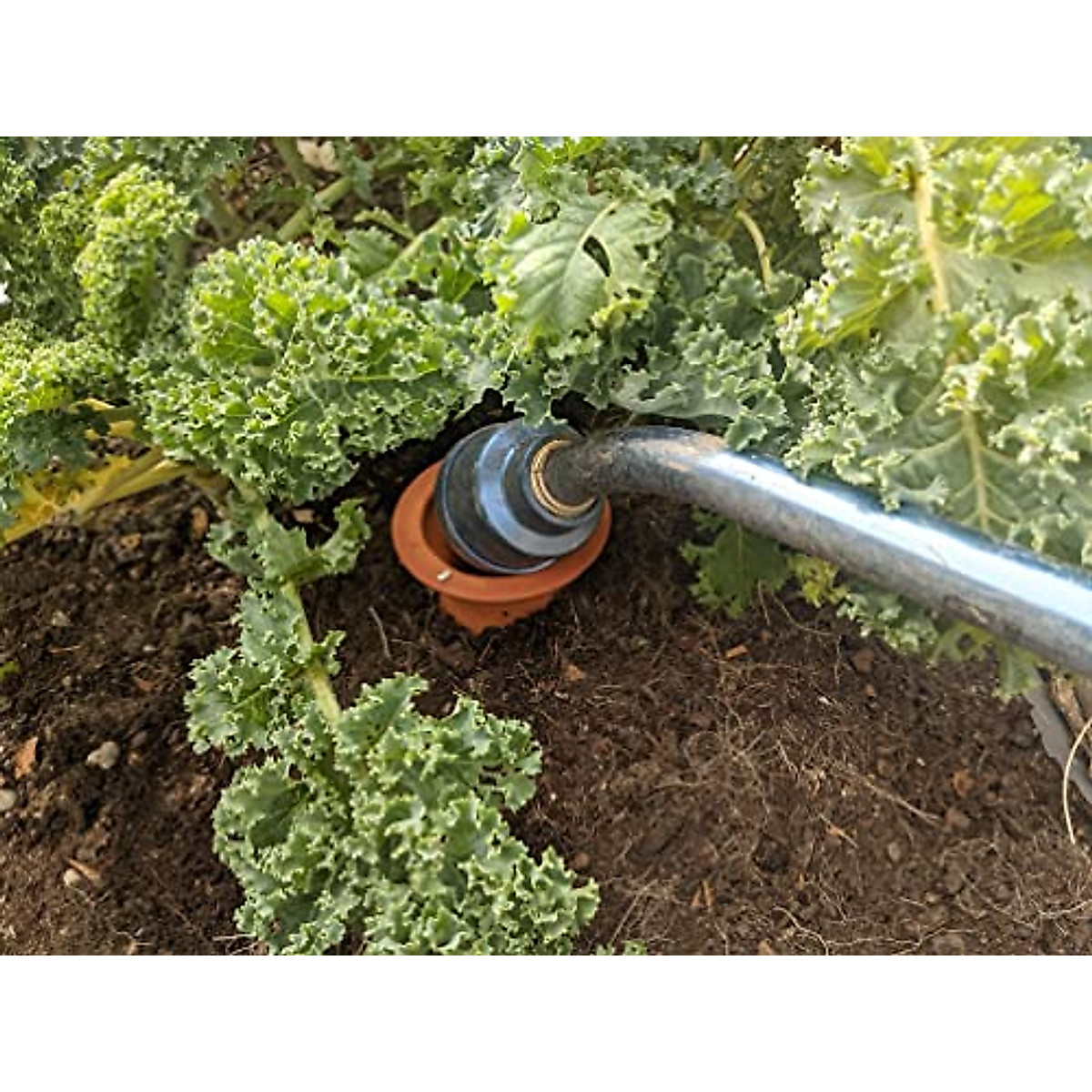 Clay Olla - Quart Sized - Ideal for Elevated Garden Planters, Grow Bags or 14" - 18" Pots