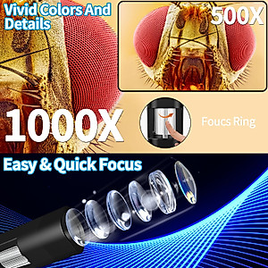 WINWEND Microscope for Kids - Portable Handheld Magnifying Glass for Girls | 2.4" LCD Screen 1000X Mini Microscope | Educational Science Toys for Age 3 4 5 6 7 8 Years Old Boys Christmas Birthday Gift