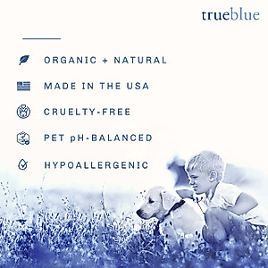 TrueBlue Super Fresh Body and Paw Wipes for Dogs and Puppies - Clean Dirty Paws and for deodorizing - Extra Large, Non-Toxic - 8"x7" - 100 Count