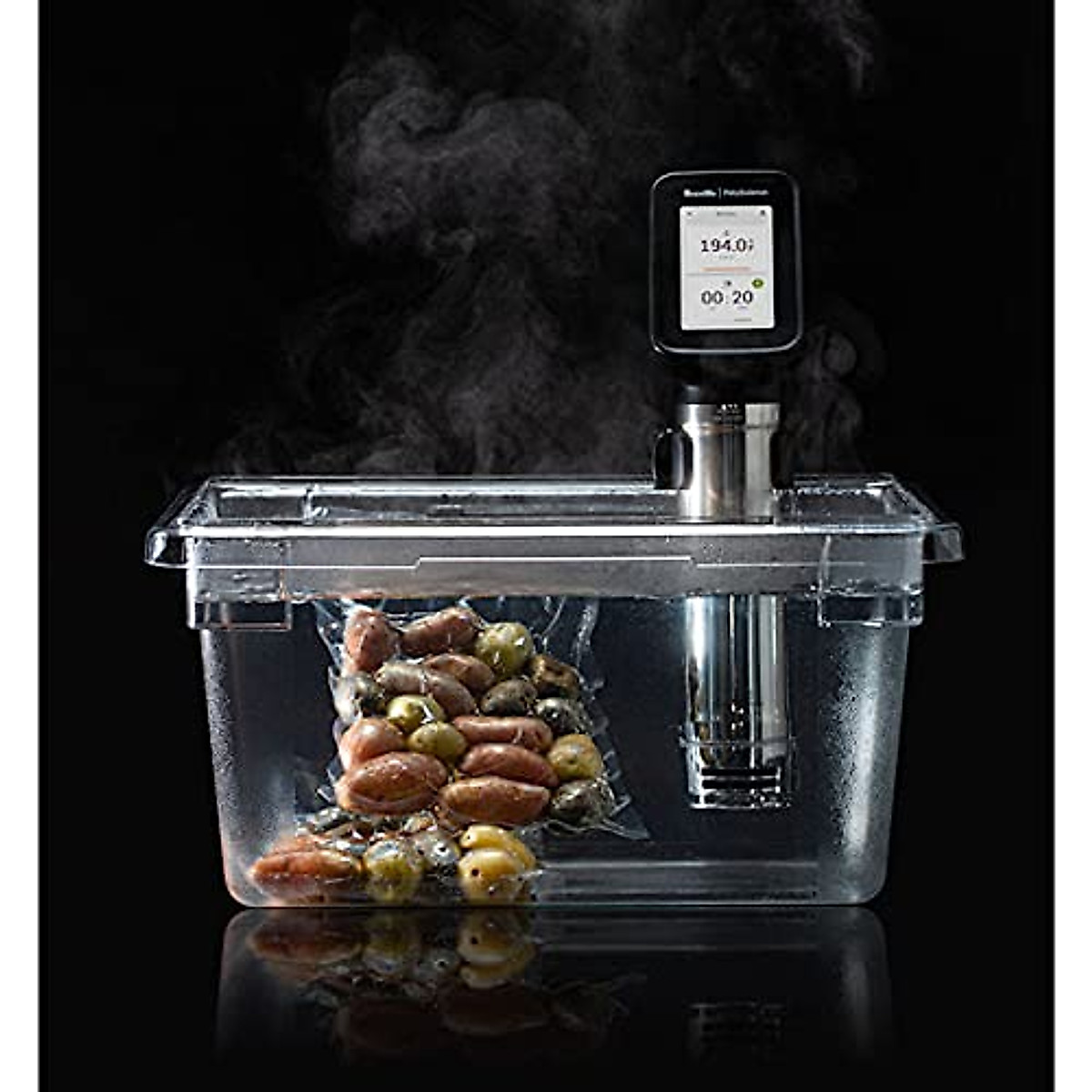 Sage Polyscience HydroPro™ Sous Vide Immersion Circulator, Stainless, 240V