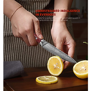 Damascus Knife 5 Inch, Damascus Kitchen Utility Knife 5 Inch, Damascus Chef Knife 5 Inch,Japanese VG10 edge, Red G10 Handle with Triple Rivets for Vegetables and Fruits in Gift Box