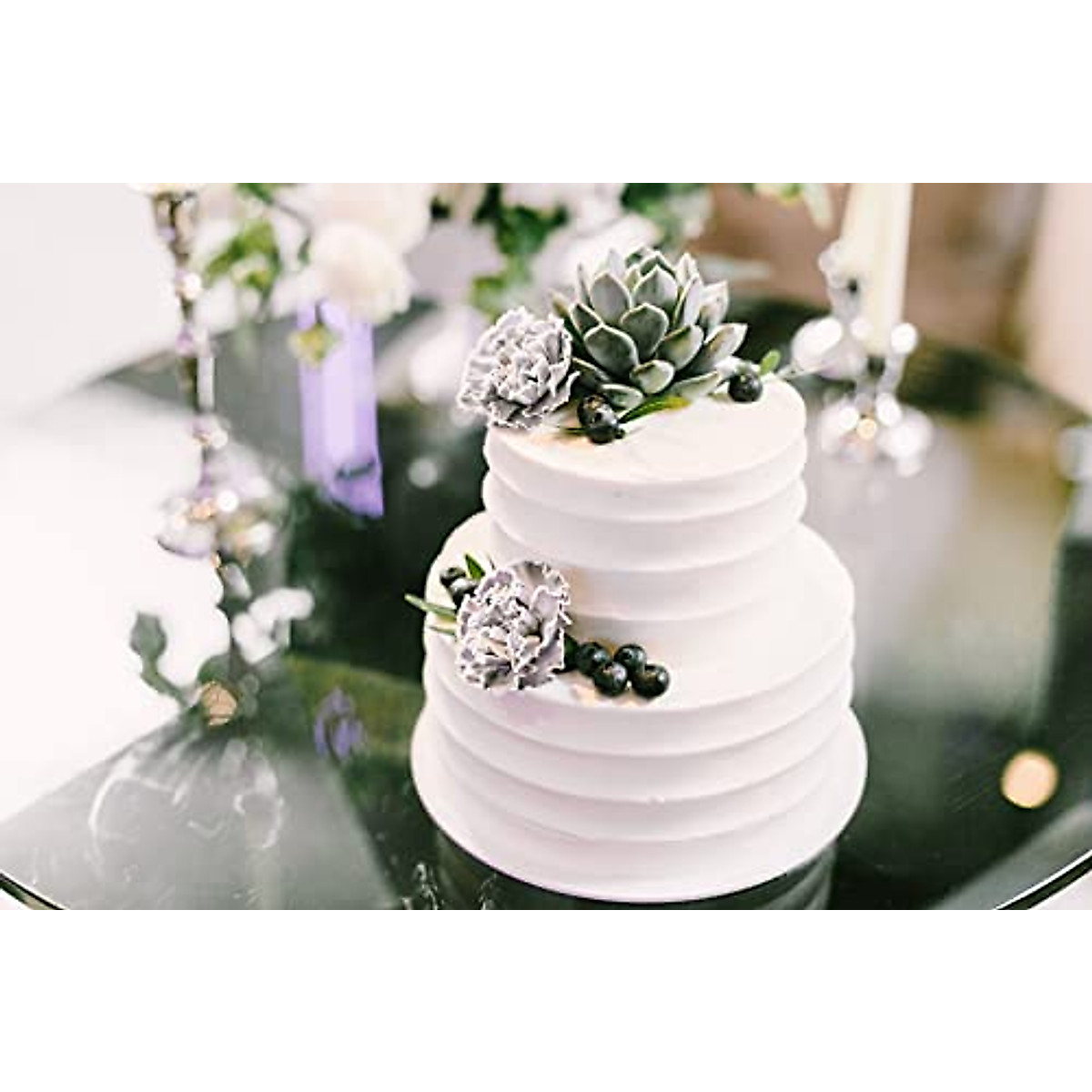 Shop Succulents | Unique Collection of Live Succulent Plants, Hand Selected Variety Pack of Mini Succulents | Collection of 20