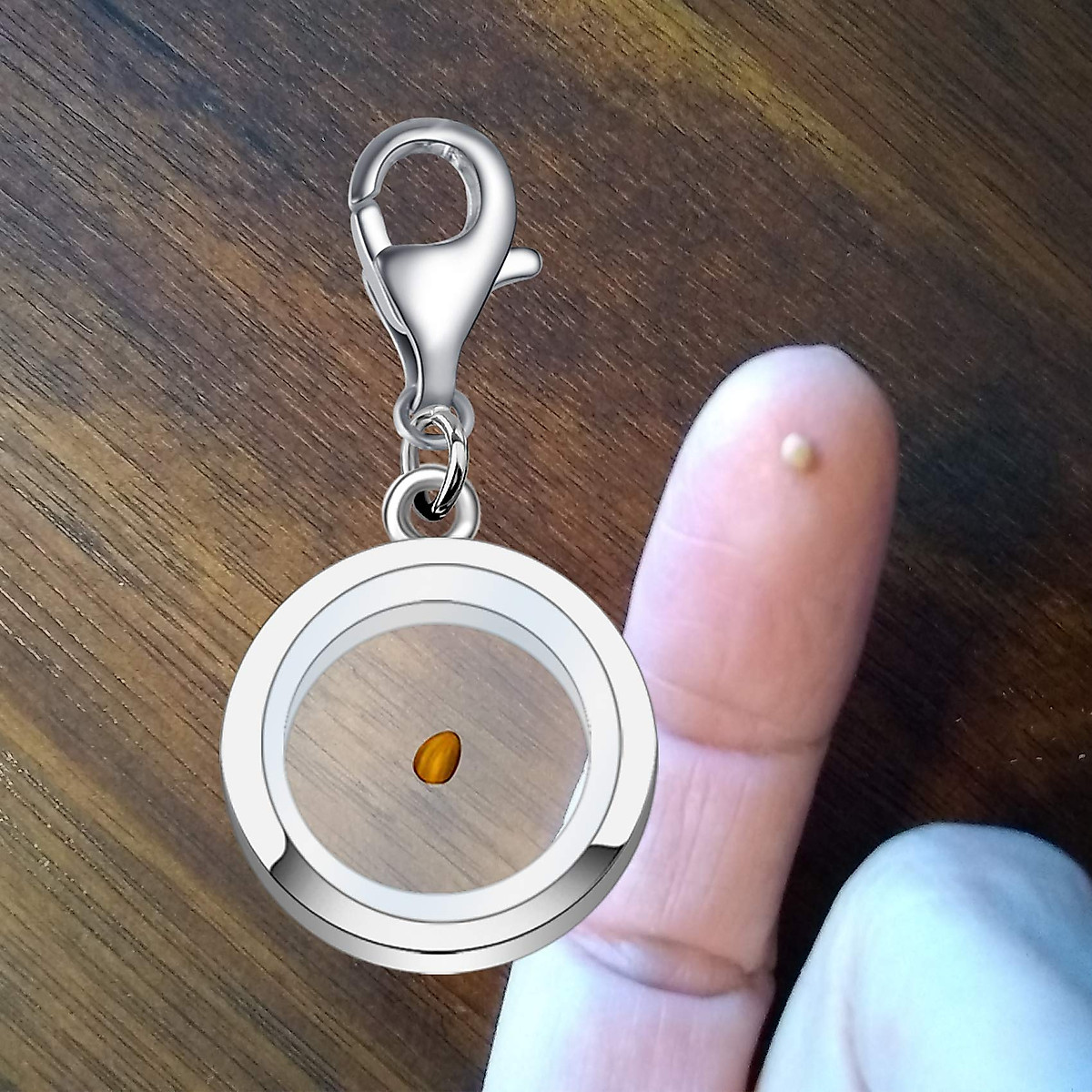 BEKECH Faith Mustard Seed Charm Zipper Pull Clip On Gift for Religious Men Women Faith Jewelry Gift Christian Gift for Faithful Men Women Graduates (silver stainless steel)