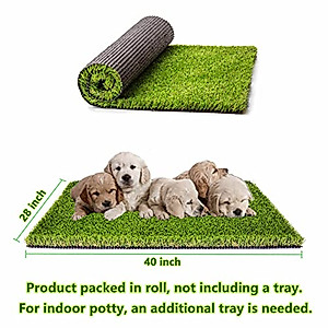 MTBRO Artificial Grass for Dogs, 40in X 28in X 1.5in Dog Potty Grass, Professional Dog Pee Grass, Outdoor Grass Pad for Dogs and Grass for Dogs Potty.