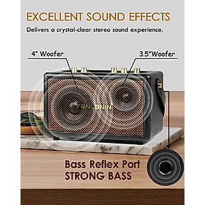 TANLANIN Vintage Bluetooth Speakers Rechargeable Portable Wireless Retro Style Leather Speakers 8H Long Playtime Bluetooth 5.0 Heavy Bass Music Player, TWS/USB/TF Slot/Remote Control/UHF Wireless Mic