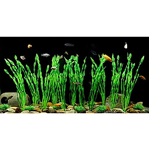 CousDUoBe 11 Pack Artificial Seaweed Decor，Used for Household and Office Aquarium Simulation Plastic Seaweed Water Plants（12 inches）