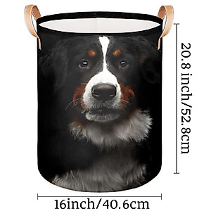 Bernese Mountain Dog Animals Collapsible Laundry Basket Large Laundry Hamper Waterproof Foldable Storage Bins Laundry Basket with Leather Handles Clothes Nursery Hampers for Bathroom Bedroom Toy Organizer