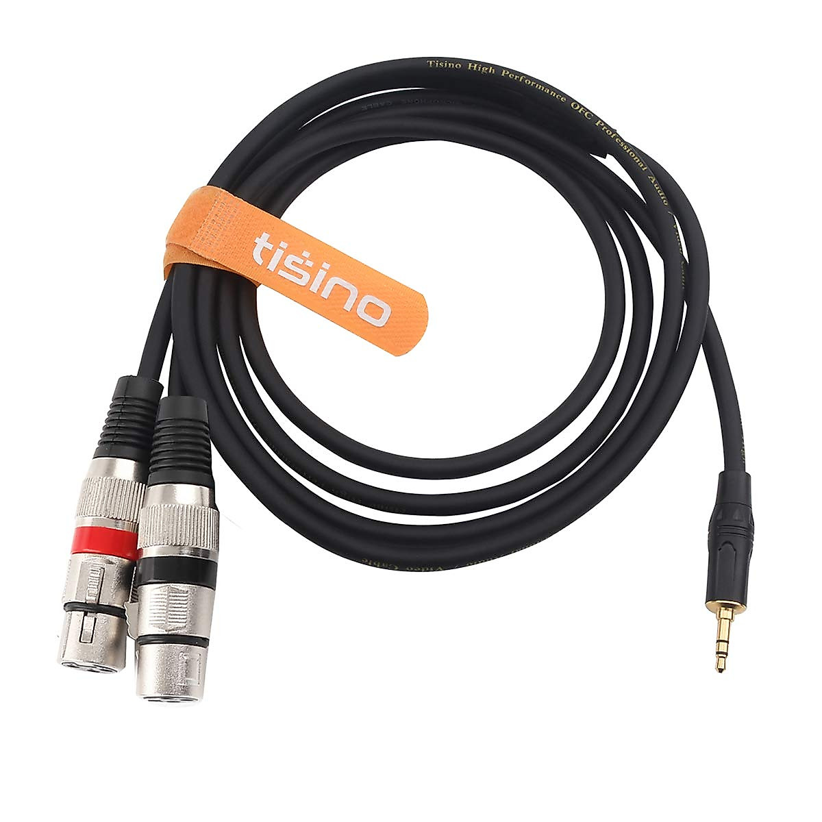 tisino Dual XLR to 3.5mm Stereo Mic Cable, 2 XLR Female to 1/8 Inch Mini Jack Y-Splitter Breakout Lead Microphone Cord - 6.6 feet