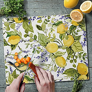 CounterArt Watercolor Lemons 3mm Heat Tolerant Tempered Glass Cutting Board 15” x 12” Manufactured in the USA Dishwasher Safe