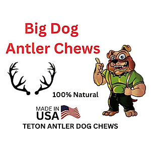 Big Dog Antler Chews - Extra Large 2-Pack Elk Antler Dog Chews, 6 Inches to 10 inches Long, for Medium to Large Dogs and Puppies