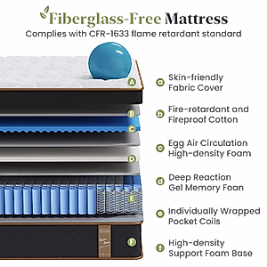 FP Flexpedic Queen Mattress, 12 Inch Extra Plush Hybrid Mattress with Memory Foam,Fiberglass-Free Mattress in a Box, Individual Pocket Spring-Motion Isolation-Edge Support,100 Nights Trial,CertiPUR-US