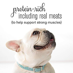 Purina Bella Natural Small Breed Pate Wet Dog Food, Grilled Chicken Flavor in Savory Juices - (12) 3.5 oz. Trays