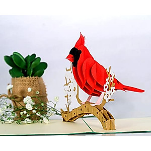 CUTPOPUP Mother's Day, Birthday Card Pop Up, 3D Greeting Card (Red Cardinal)