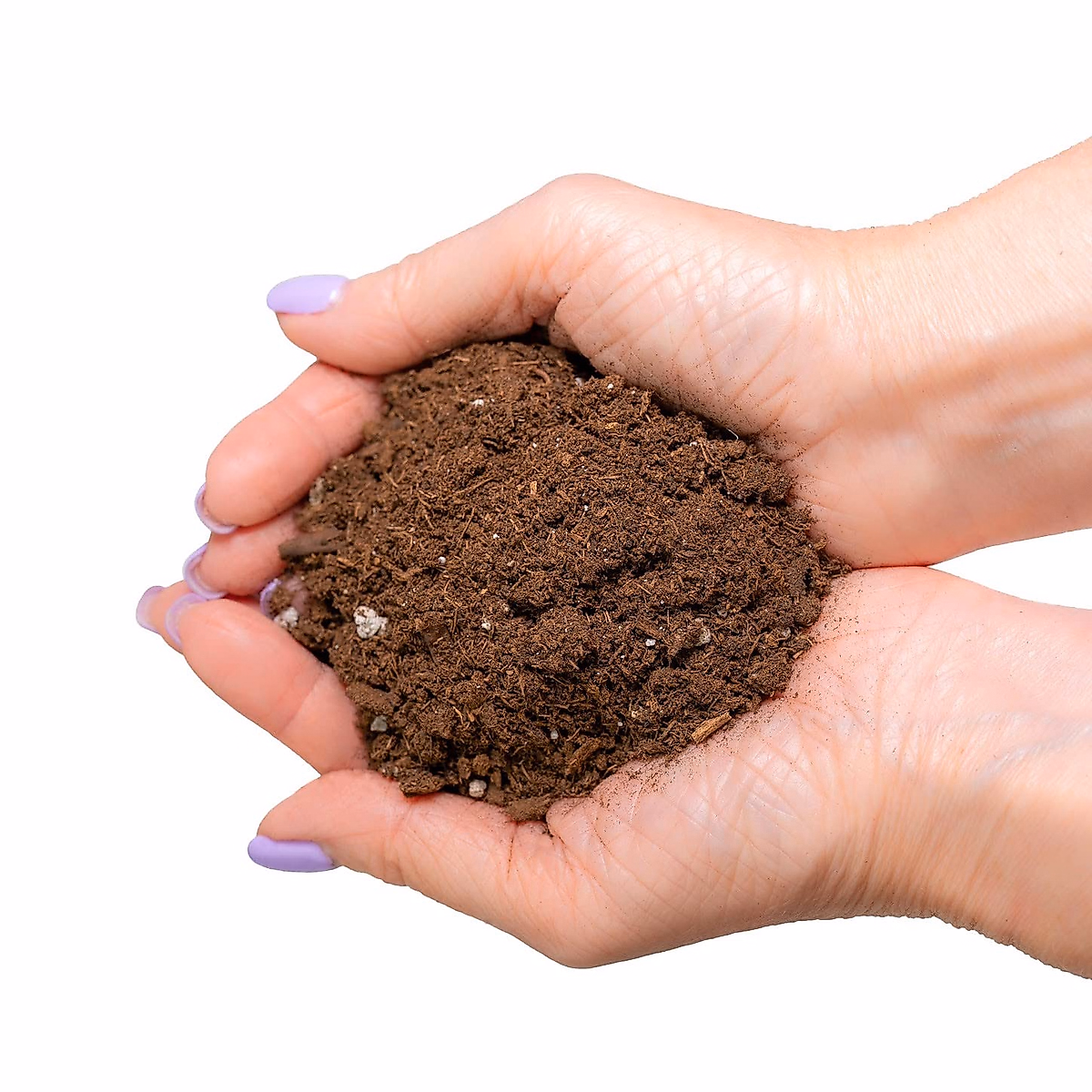 GARDENERA Money Tree Potting Soil, Soil Mix for Planting or Repotting Guiana Chestnut, Soil Blended to Properly Grow Money Tree Plants - (1 Quart Bag)