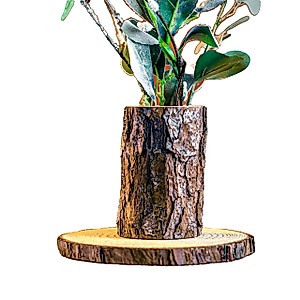 Set of (10) 7-8 inch wood slices for wedding centerpieces! Woodland baby shower decor, rustic baby shower decor, woodland decorations, rustic wedding decorations!