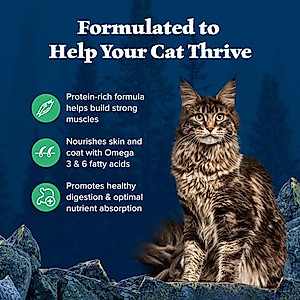 Blue Buffalo Wilderness Nature's Evolutionary Diet High-Protein, Grain-Free Natural Dry Food for Adult Cats, Duck, 5-lb. Bag