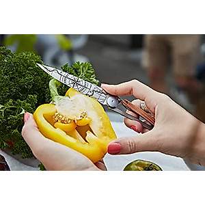 deejo Ultra-Light Folding Pocket Knife with Belt Clip - Olivier 1.3 OZ Version - Thin and Sharp Blade - Terra Incognita Pattern - Stainless Steel - Elegant and Modern Design…