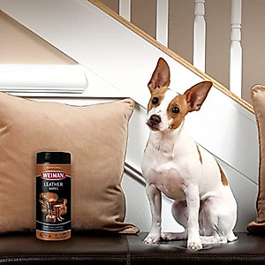 Weiman Complete Auto Leather Interior Cleaning Kit for Car, Truck, Motorcycle, RV, Motorhome - Cleans & Restores Leather Automotive Seats & Accessories, UVX Protection(Leather Auto Kit - Wipes)