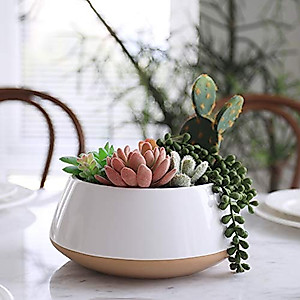 LA JOLIE MUSE Large Succulent Planter Plant Pots, Ceramic Indoor Outdoor Garden Pot with Drainage for Plant Flower, 8 Inch, Sandy Beige & White