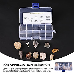 Hemobllo Fossil Specimens Collection Set, 10PCS Paleontology Fossil Specimens, Trilobite Amber Fossil Educational Science Kits, Creative Science Decoration Stone