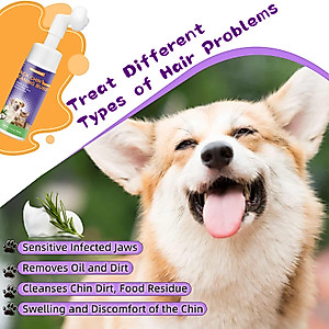 WaggyTech Cat Black Chin Cleaner 5fl.oz, Cruelty-Free Cat Acne Chin Treatment with Soft Silicone Brush Head, Removes Feline Blackheads, 2 in1 Hair Health Cleaner-Oil | Dirt-(White)