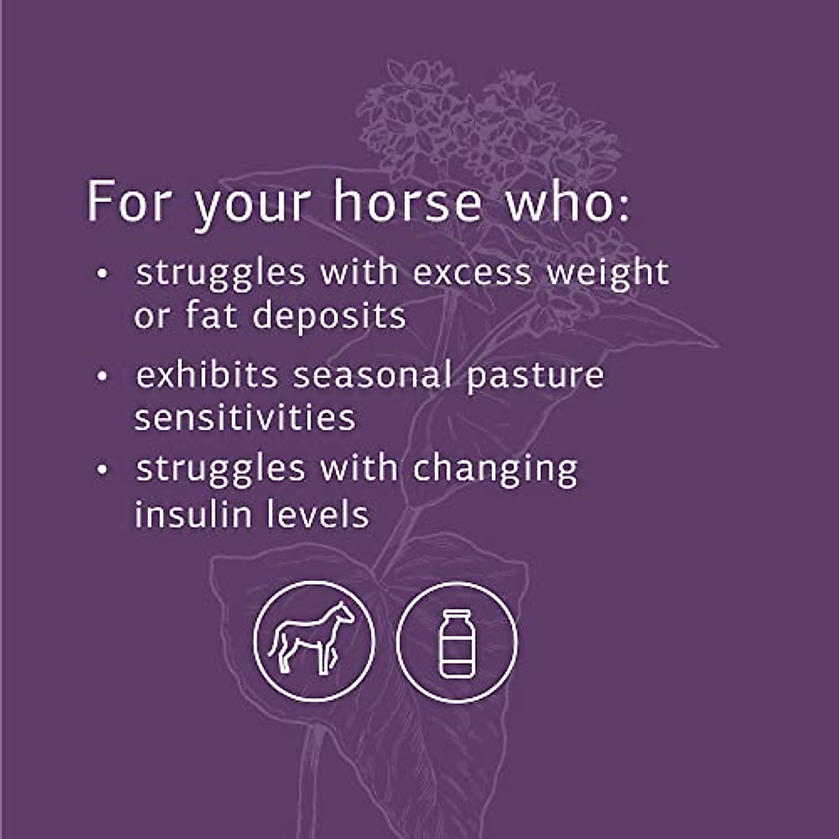 Standard Process Equine Metabolic Support - Whole Food Horse Supplies for Glucose Metabolism and Antioxidant Activity with Green Tea Extract, Cayenne Pepper, Licorice Root - 40oz