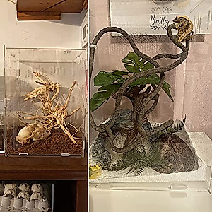 winemana Reptile Terrarium Aquarium Breeding Tank, 14.5" x 10.5" x 10" Acrylic Tarantula Enclosure Feeding Box Insect Habitat for Tarantula Spider Snake Lizard Hermit Crab Insect