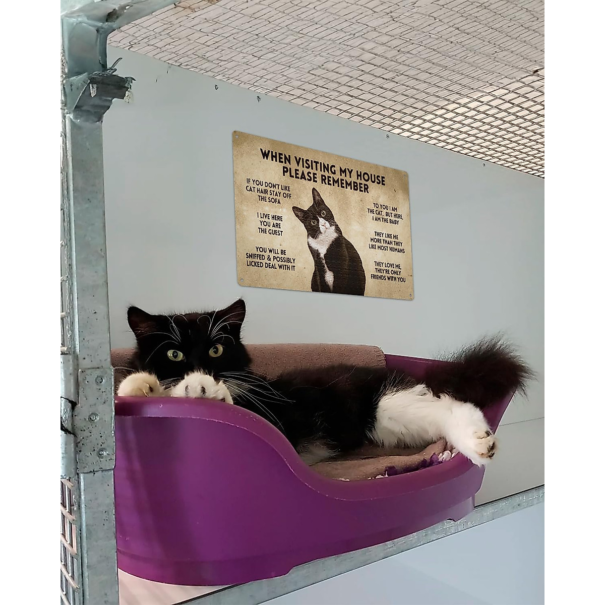 ALKB Funny Tuxedo Cat-Themed Sign 8x12 Inch - Visitor’s Guide to Interacting with Cats - Gift for Cat Lovers’ Home Decor