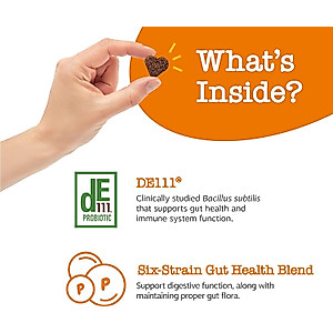 Probiotics for Dogs - Digestive Enzymes for Gut Flora, Digestive Health, Diarrhea & Bowel Support - Clinically Studied DE111 - Dog Supplement Soft Chew for Pet Immune System - Pumpkin