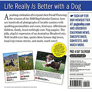 365 Dogs Page-A-Day Calendar 2020