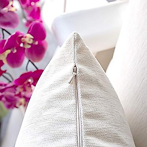 Homey COZY 14x20 Chenille Indoor/Outdoor Accent Pillow (Set of 2), Ivory 2 Count