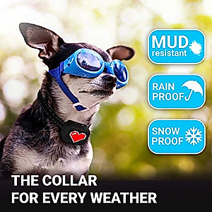 Small Dog Bark Collar Rechargeable - Anti Barking Collar for Small Dogs - Smallest Most Humane Stop Barking Collar - Dog Training No Shock Bark Collar Waterproof - Safe Pet Bark Control Device