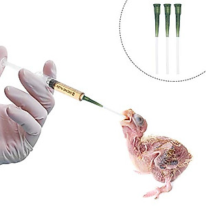 balacoo 3pcs Young Birds Feeding Hose Soft Plastic Tubing Hoses Pets Sick Birds Feeding Tools Medicine Milk Water Food Feeder for Baby Bird