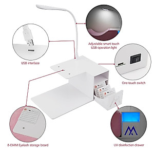 Roury Eyelash Extension Neck Pillow with Light, Pillow Shelf, Eyelash Pillow Make Up Eyelash Extension Pillow with Shelf Organizer Stand, Beauty Salon Pillow (Pink)