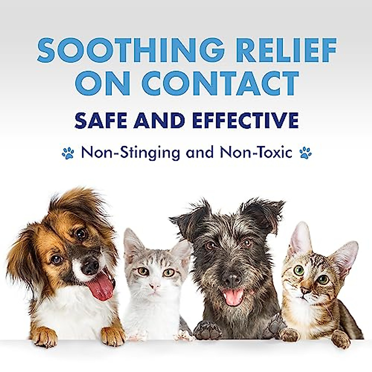 PetSilver Wound Gel with Complex AG21 | Chelated Silver 200 ppm | Dog & Cats |Wounds | Hot Spots | Itches | Skin Irritations | Burns | Rashes | Sores | Homeopathic | 4oz