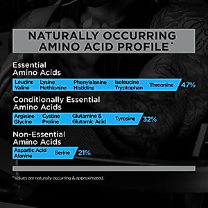 Rule One Proteins Whey Blend - Café Mocha, 24g Fast-Acting Whey Protein Concentrates, Isolates, and Hydrolysates Per Serving, with Naturally Occurring EAAs and BCAAs,  2lbs