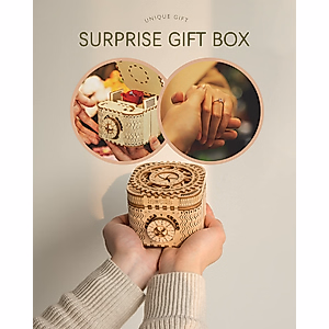 ROKR 3D Assembly Wooden Puzzle DIY Crafts Kit Fun Creative DIY Toy Treasure Box Brain Teaser Mechanical Engineering Model Building Kits Educational Toy Birthday Gift for Adults and Kids Age 14+