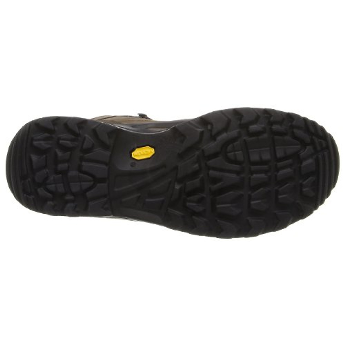 Lowa Men's Renegade GTX Mid Hiking Boot,Sepia/Sepia,11.5 M US