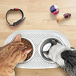 All for Paws Height Adjustable Cat Elevated Bowls Stainless Steel Dog Food Water Bowls, Height Adjustable Cat Feeder Mess Proof Pet Feeding Bowls(Small)