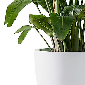 Kante 18", 14", and 10" W Pure White Concrete Round Planters (Set of 3), Outdoor Indoor Modern Planter Pots, Lightweight, Weather Resistant, Seamless with Drainage Hole (RC0050ABC-C80011)