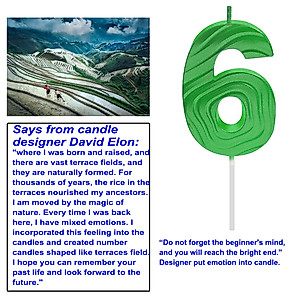 2.76inch terraced Fields Shape Number 6 Green Candles, Green 6 Candles/Cake Toppers for Birthday, Wedding, Baby Shower, Anniversary Decorating and Celebrating for Adults/Kids Party(Green 6)