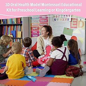 vocheer Educational Plush Toy, Preschool Montessori Educational Toys for Kids, Teaching Kid How to Protect Teeth and Learning What in Their Oral