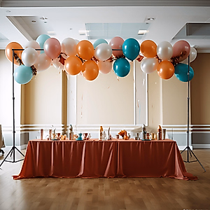 AW 8.5x10ft Backdrop Stand Support System with 4X Clamps 2X Clips 2X Sand Bags 1x Carry Bag for Parties Events Photography