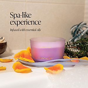 SCENTALGIA Scented Soy Candle Jar with Lavender Cotton Fragrance - 3 Wick Large Candles with Long-Lasting 55 Hours Burn Time - Perfect for Home, Office, Spa, Yoga, Meditation & Gifts