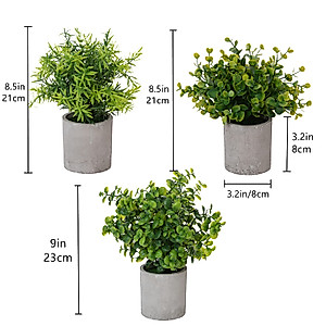 mizii 3 Pack Mini Potted Artificial Plants w/ 3 Plant Hangers,Eucalyptus Rosemary Fake Leaves Green for Indoor Home Room Shelf Kitchen Balcony Garden Wedding Decor