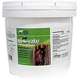 Kentucky Performance Products Elevate Maintenance Powder, 10 Pounds, Vitamin E Horse Supplement