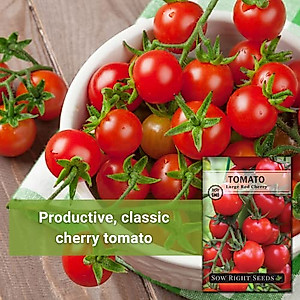 Sow Right Seeds - Large Red Cherry Tomato Seed for Planting - Non-GMO Heirloom Packet with Instructions to Plant a Home Vegetable Garden - Great Gardening Gift (1)
