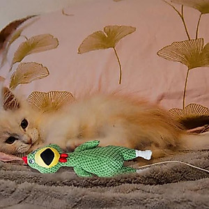 Puppy chew Toys, Dog Dental Toy, Teeth Cleaning chew Toys for Dogs, Puppy Toys for Teething Small Dogs, Flavored Corn Scented Dog Chew Toy for Small Meduium Large Breed (B-Green)